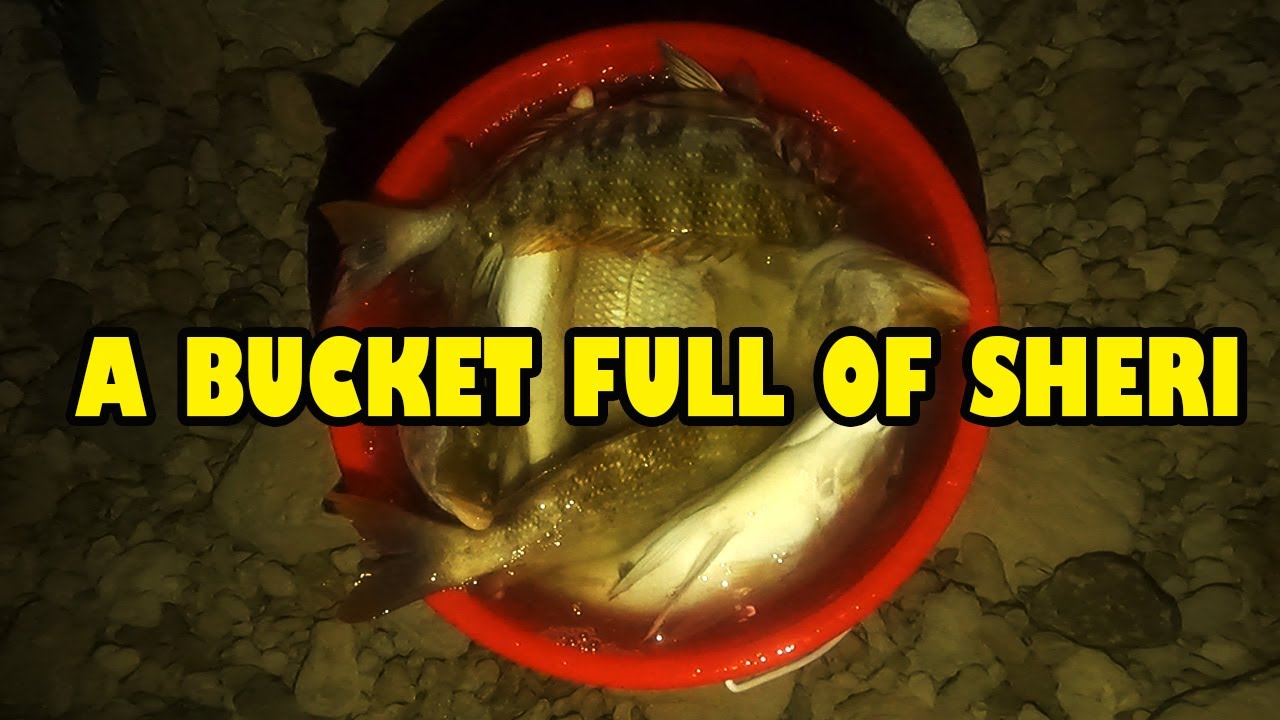 Insane Fishing In The UAE Catching Lots of Sheri (Emperor Fish) - YouTube