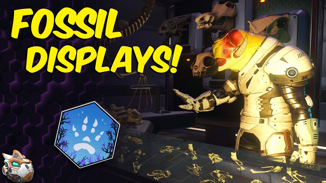 How To Build Fossil Displays! No Man's Sky Relics Update - YouTube