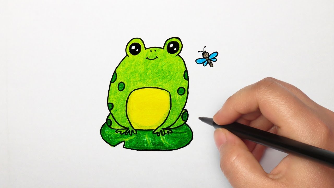HOW TO DRAW A FUNNY FROG | Me And Draw - YouTube
