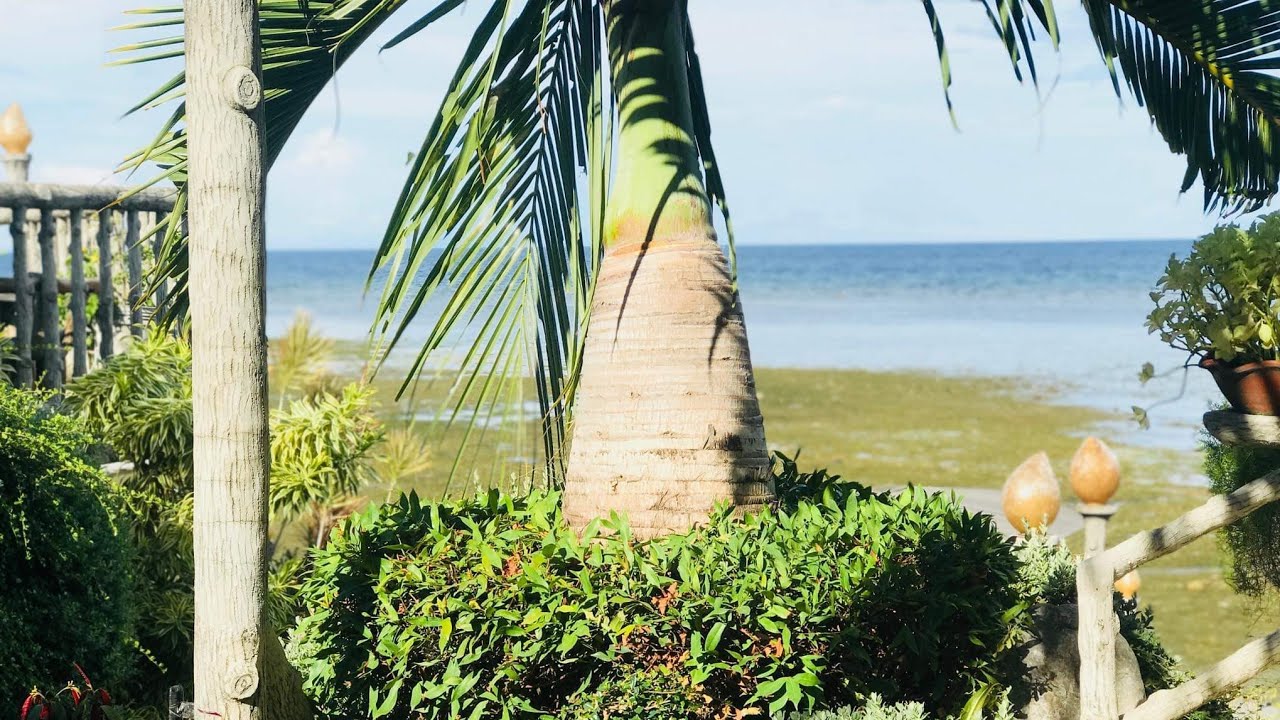 PANGEA BEACH, Liloan Cebu... - YouTube