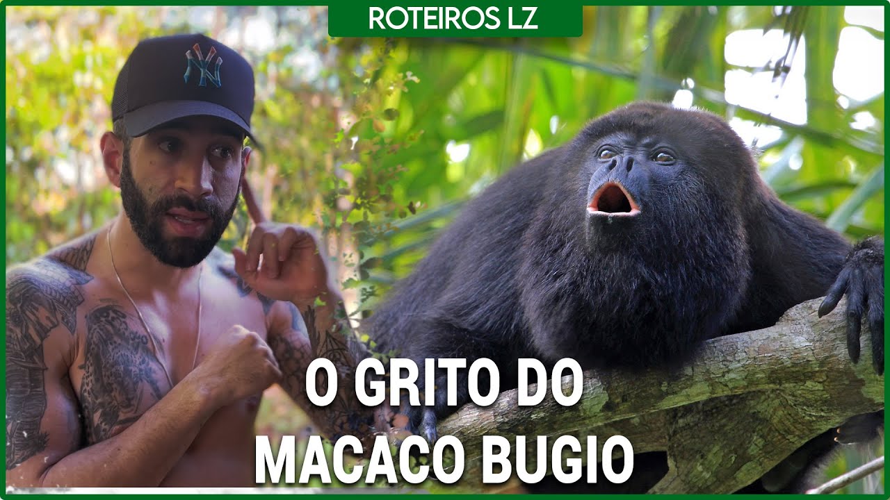 O GRITO DO MACACO BUGIO | ROTEIROS LZ - YouTube