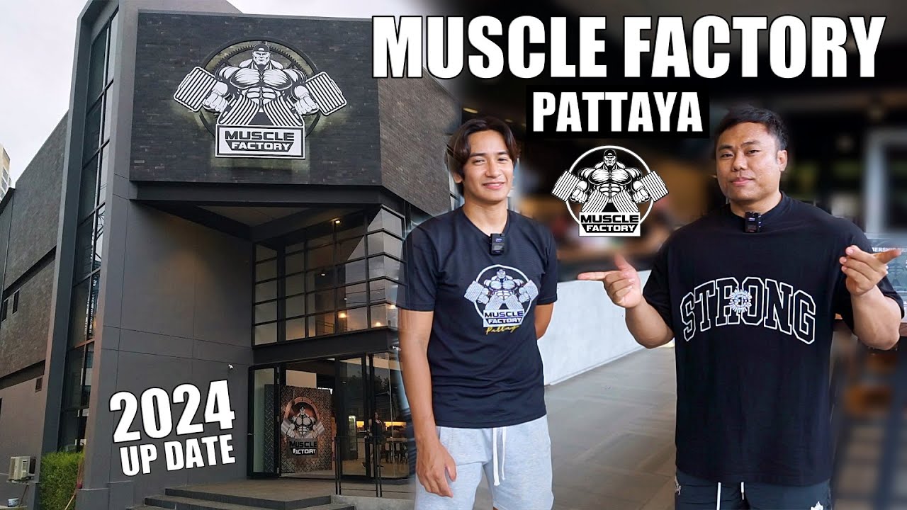GYM ที่ตอบโจทย์นักกีฬาดีที่สุดใน พัทยา Musclefactory Pattaya 2024 - YouTube