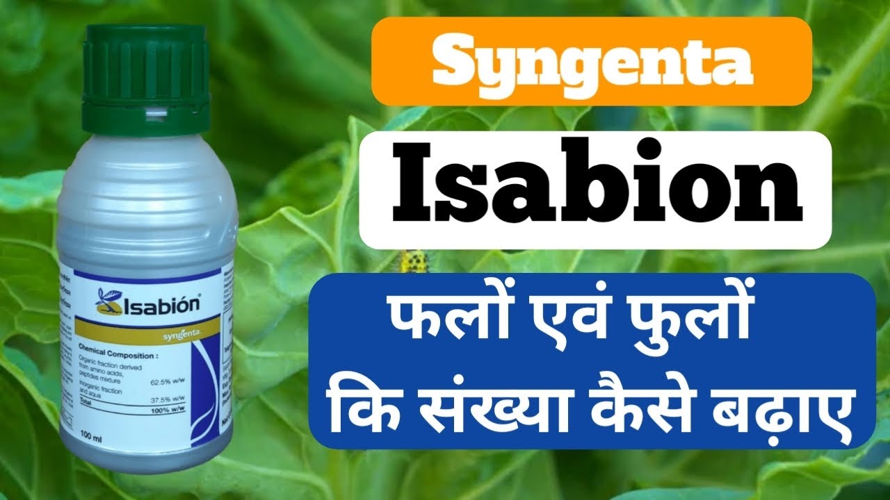 isabion Syngenta || isabion tonic || plant growth Regulator || Syngenta ...
