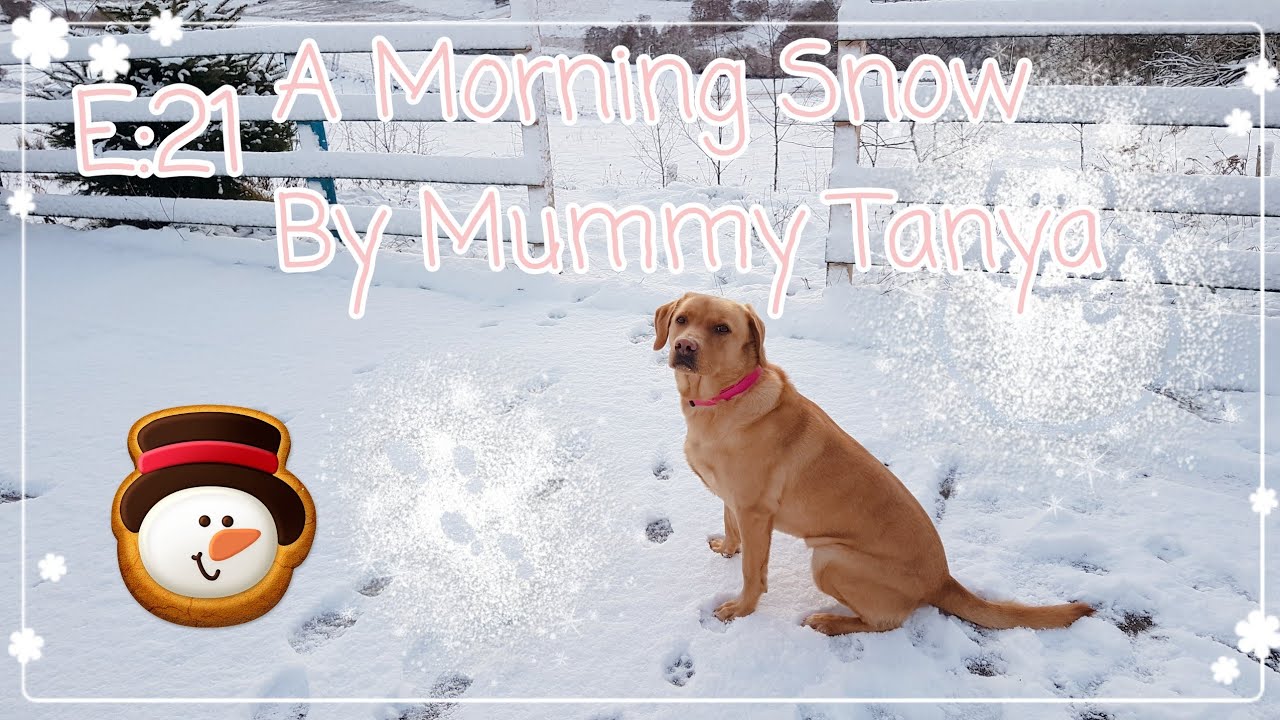 #.21: A Morning Snow in early December 2021 - YouTube