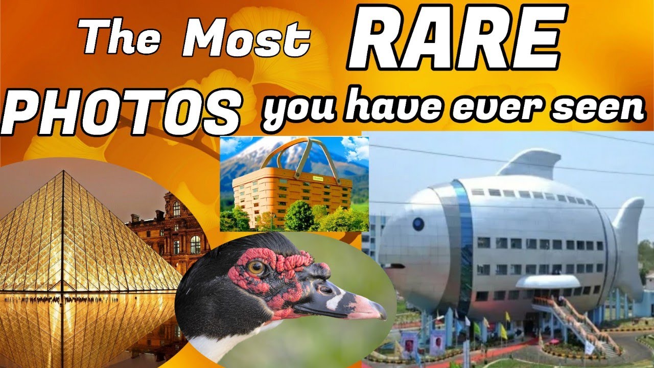The Most Rare Photos | Strange Stock Images | Unusual Stock Photos ...