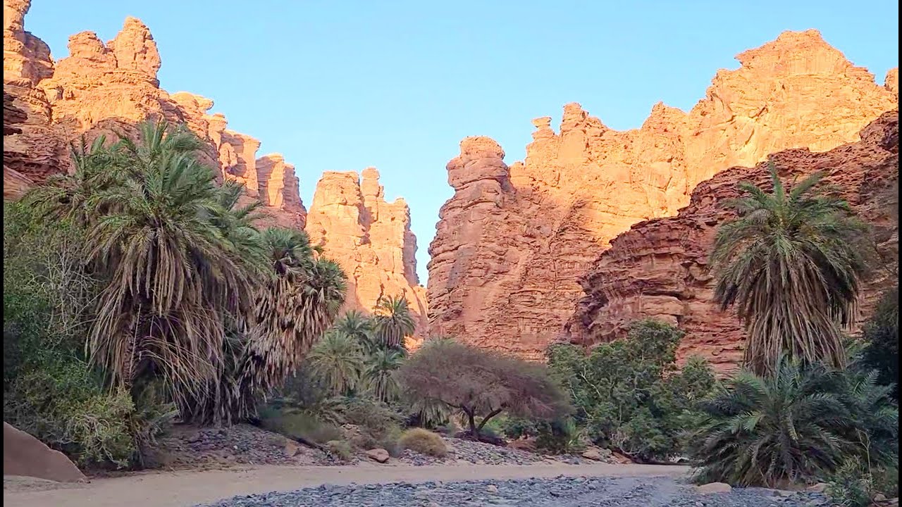 WADI AL DISAH 07 - THE EXIT POINT #youtube #travel #saudiarabia # ...