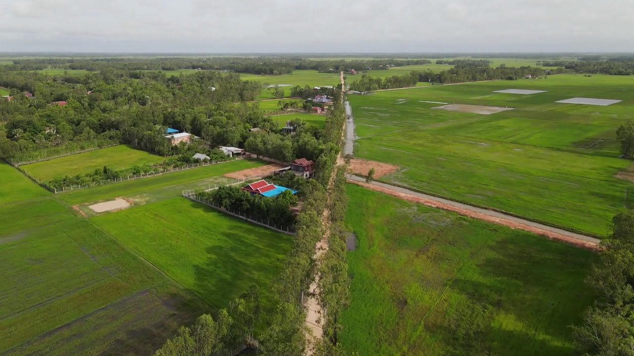 Roads and houses of people in Svay Chrum district, Svay Rieng province ...