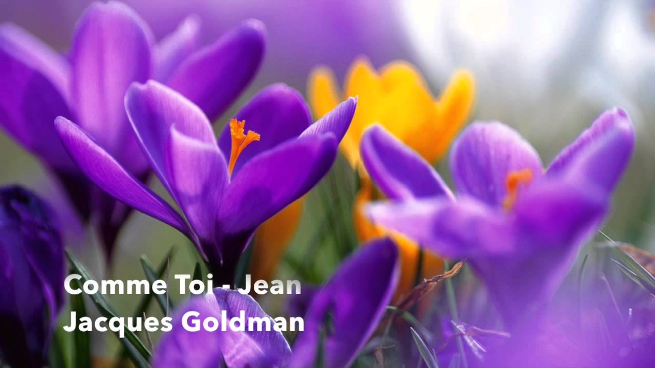 Comme Toi - Jean Jacques Goldman - YouTube