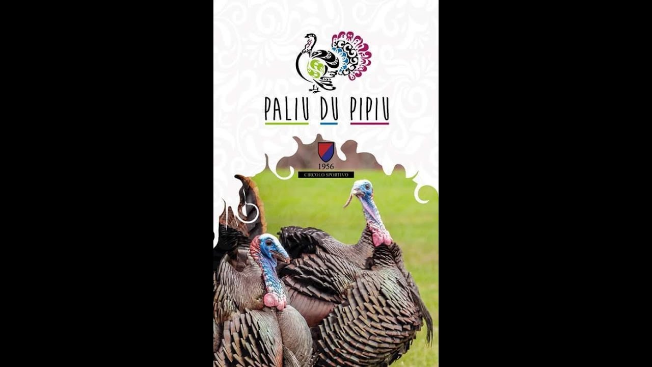 Finalissima IX Paliu du pipiu - Collesano 13.8.2015 - YouTube