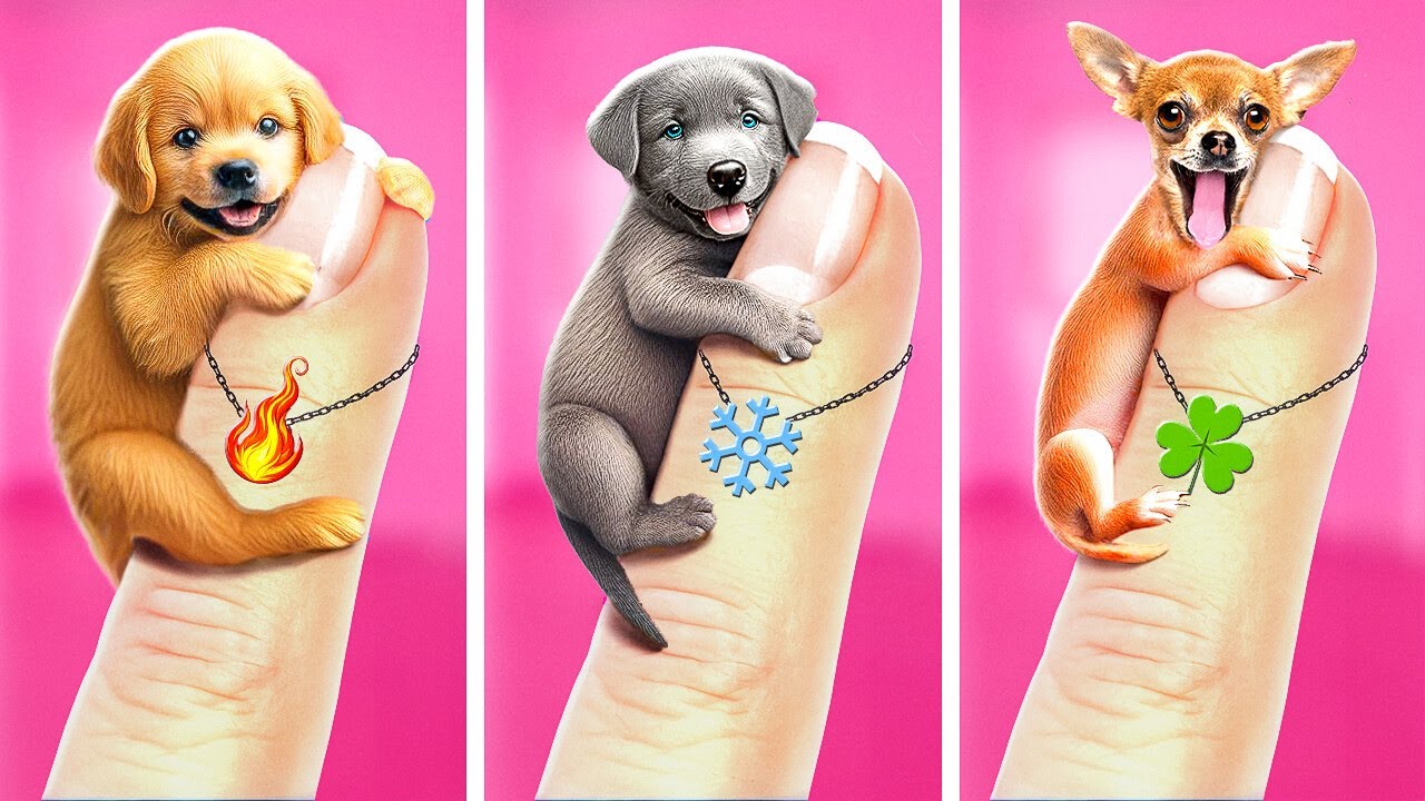 Help Me Save the Puppies 🐶🏆 Which Puppy Will Win The Challenge - YouTube