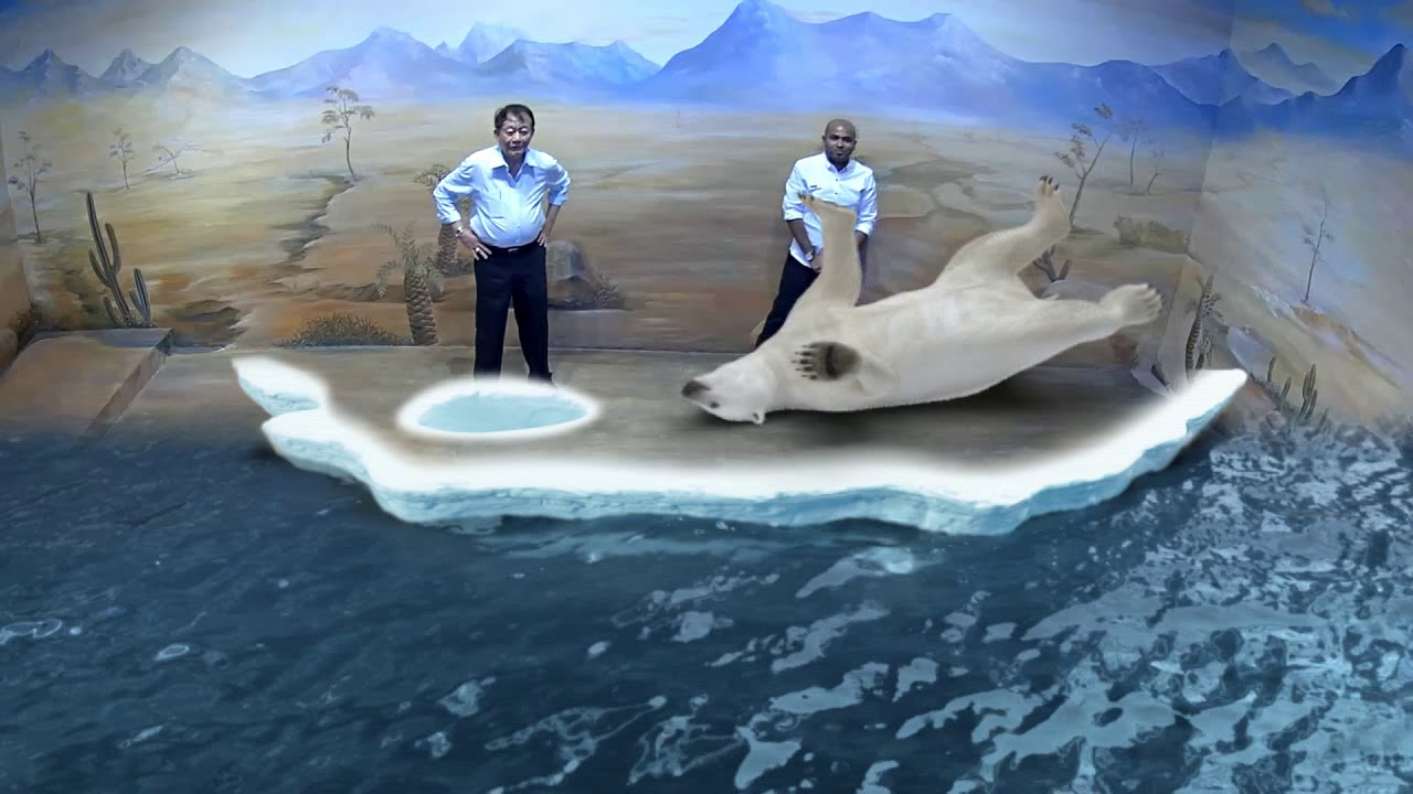 Illusion 7D Augmented Reality Museum (FUNTECH PARK) - 02 ARCTIC - YouTube
