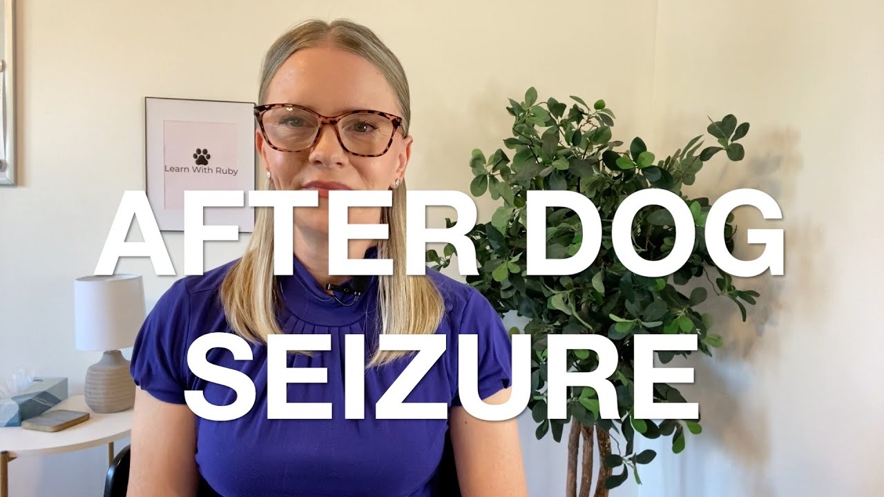 Postictal Behavior in Dogs After a Seizure - YouTube