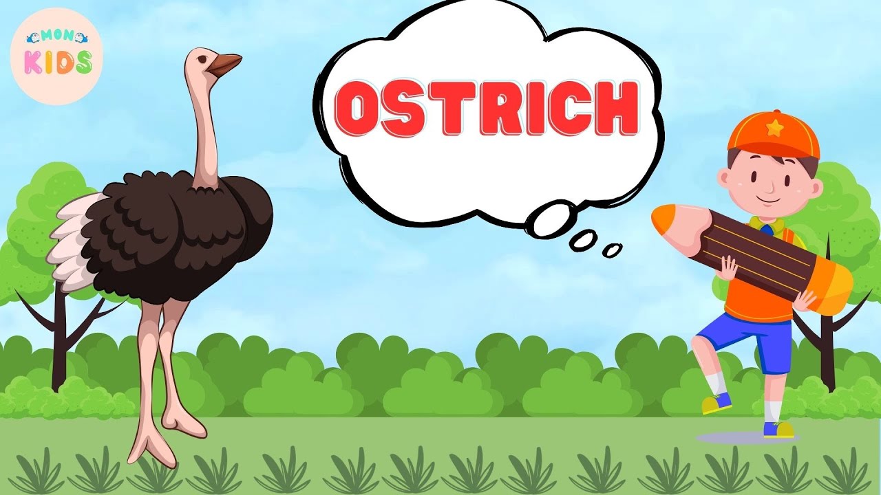 Ostrich Facts For Kids - Learn All About Ostrichs | MON Kids - YouTube