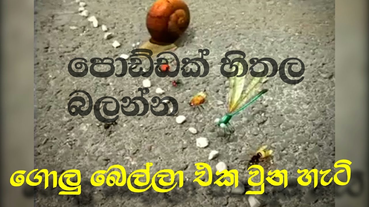 golubella 1st una hati..[Snail is the first] - YouTube