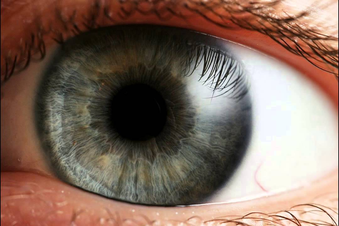 Audio Subliminal - Cambiar color de ojos a gris - YouTube