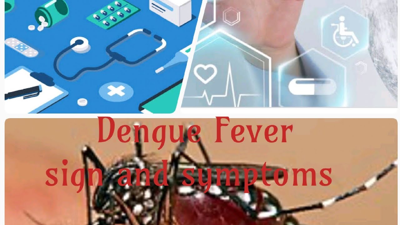 Dengue fever sign and symptoms Diagnosis and treatment - YouTube