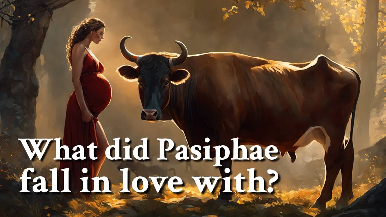 What did Pasiphae fall in love with? Greek Mythology Story - YouTube