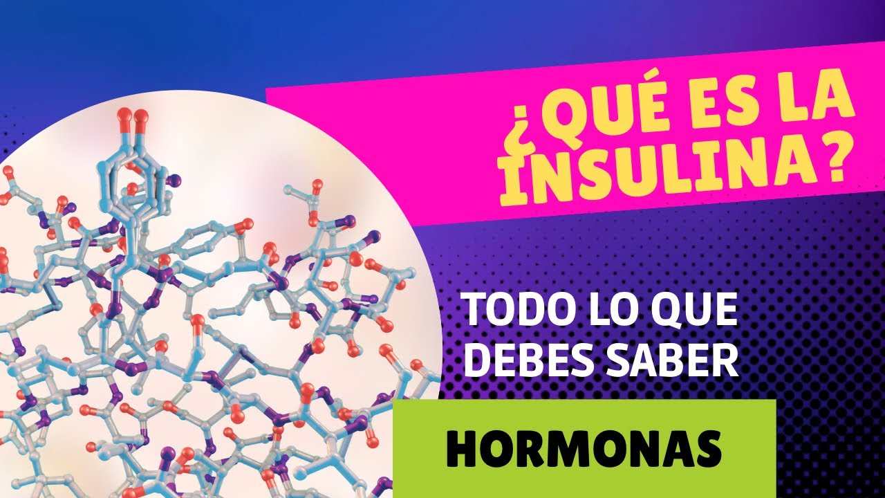 ¿Qué es la INSULINA? - Todo lo que debes saber - YouTube