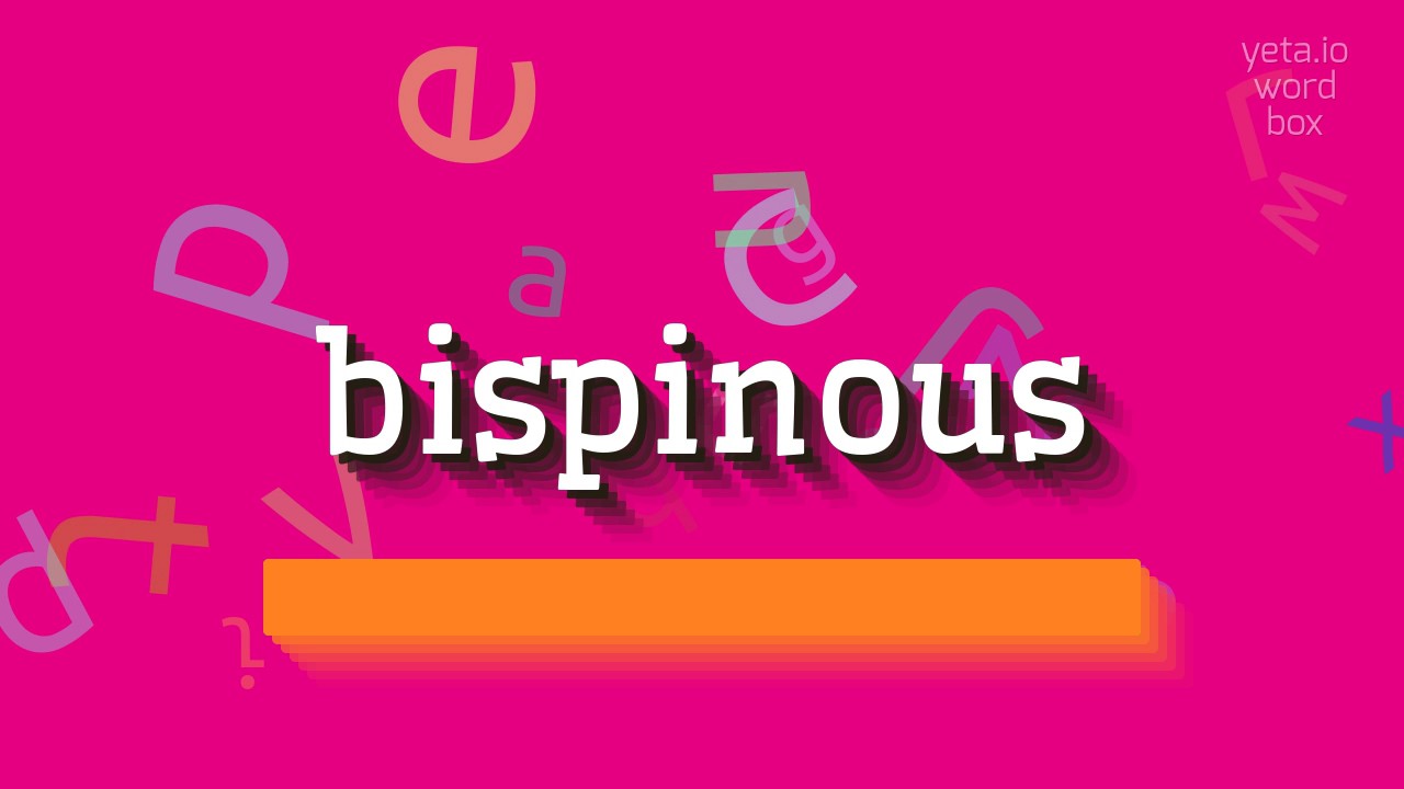 How to say "bispinous"! (High Quality Voices) - YouTube