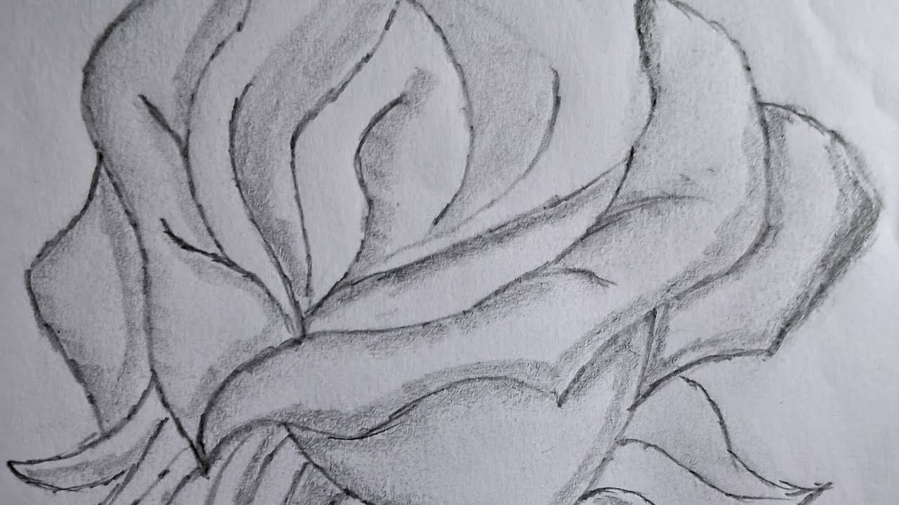 ||How to draw Rose in easy way|| Rose kaise banaye|| #drawing ...