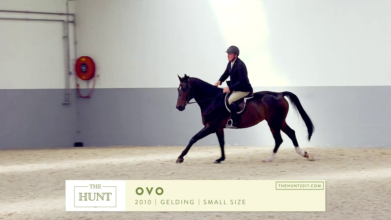 OVO - Profile Video | The Hunt 2017 - YouTube