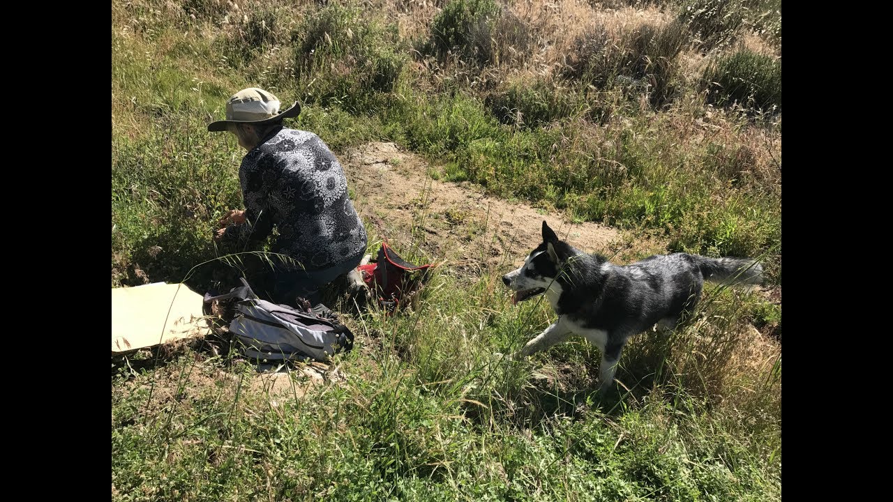 PCT 2017 - Relaxing at Kitchen Creek with my Husky Puppy & New Friend ...