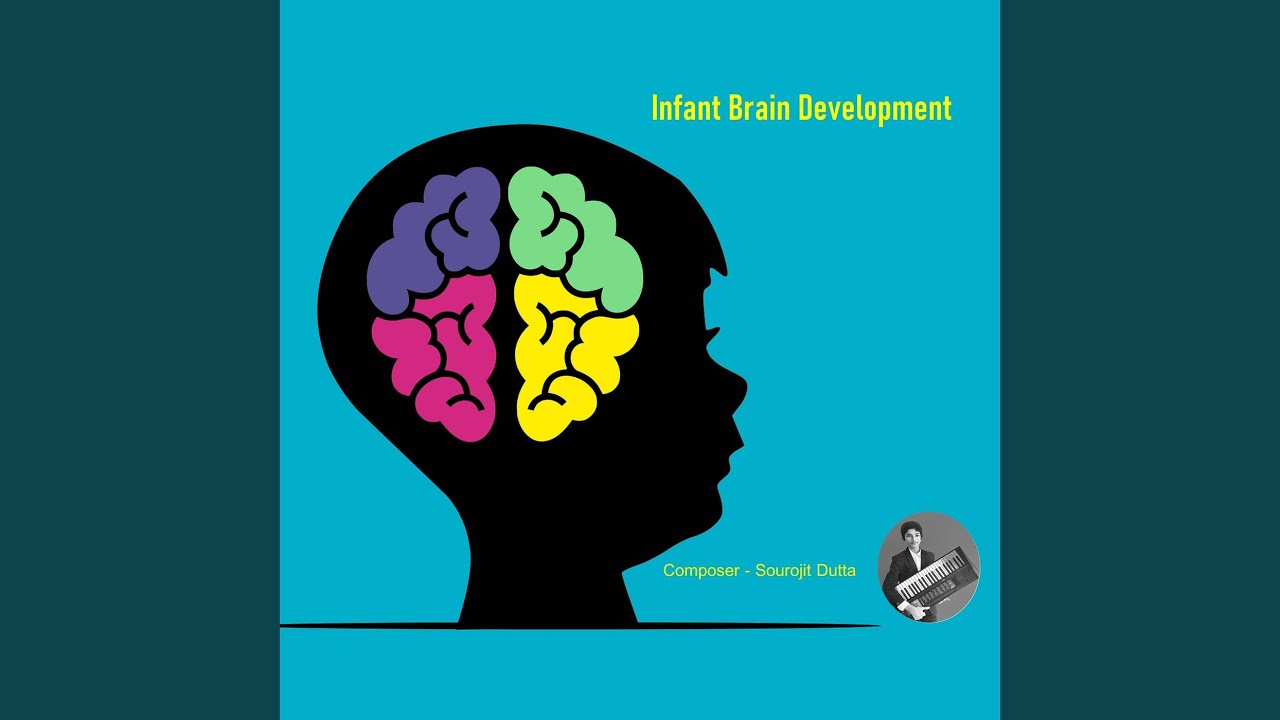 Infant Brain Development - YouTube