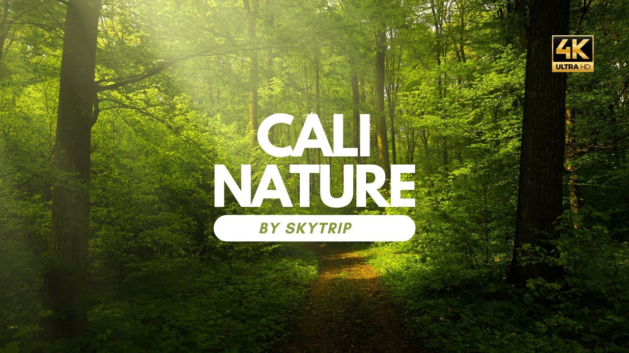 Cali en su esplendor natural: Explorando la biodiversidad urbana CALI ...