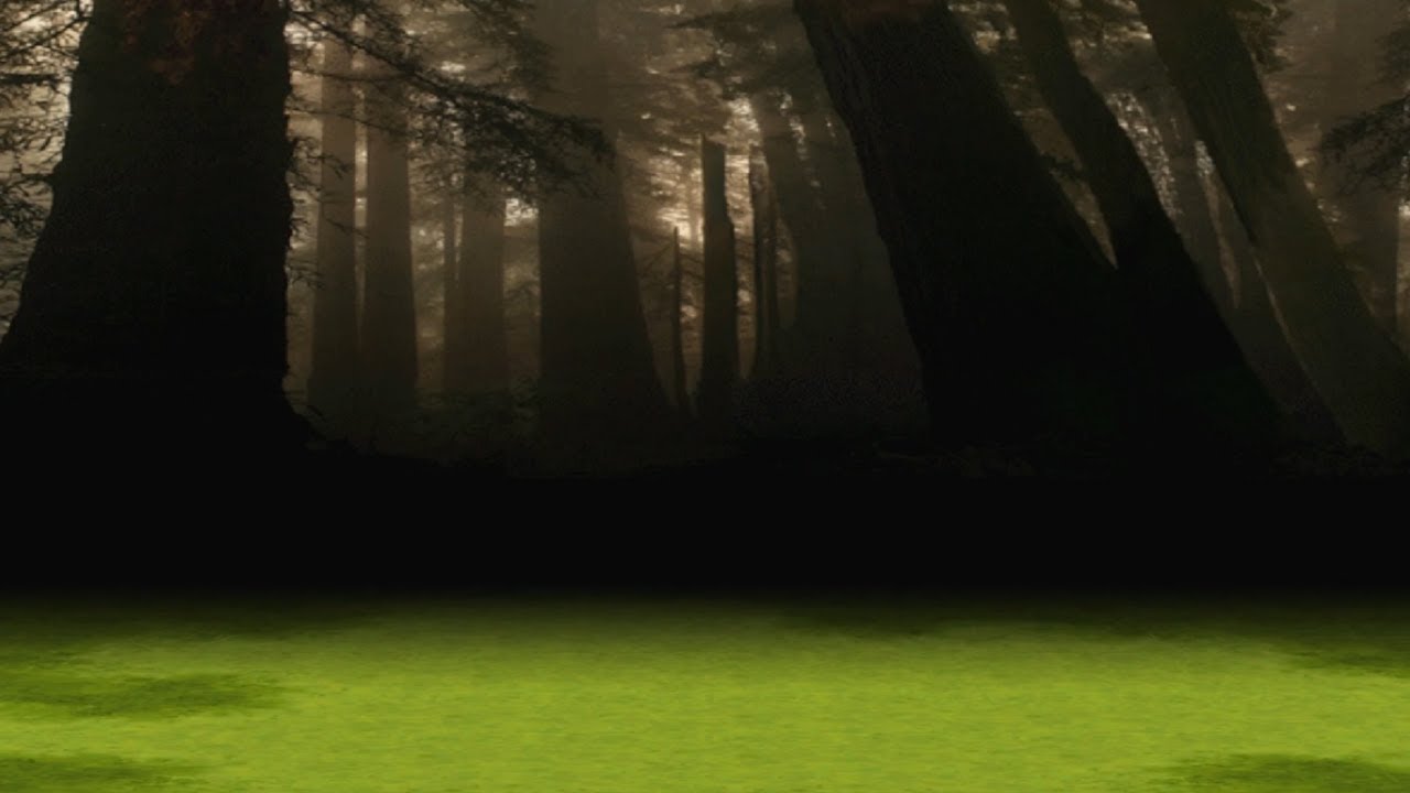 Serene Forest | Tekken 2 - YouTube