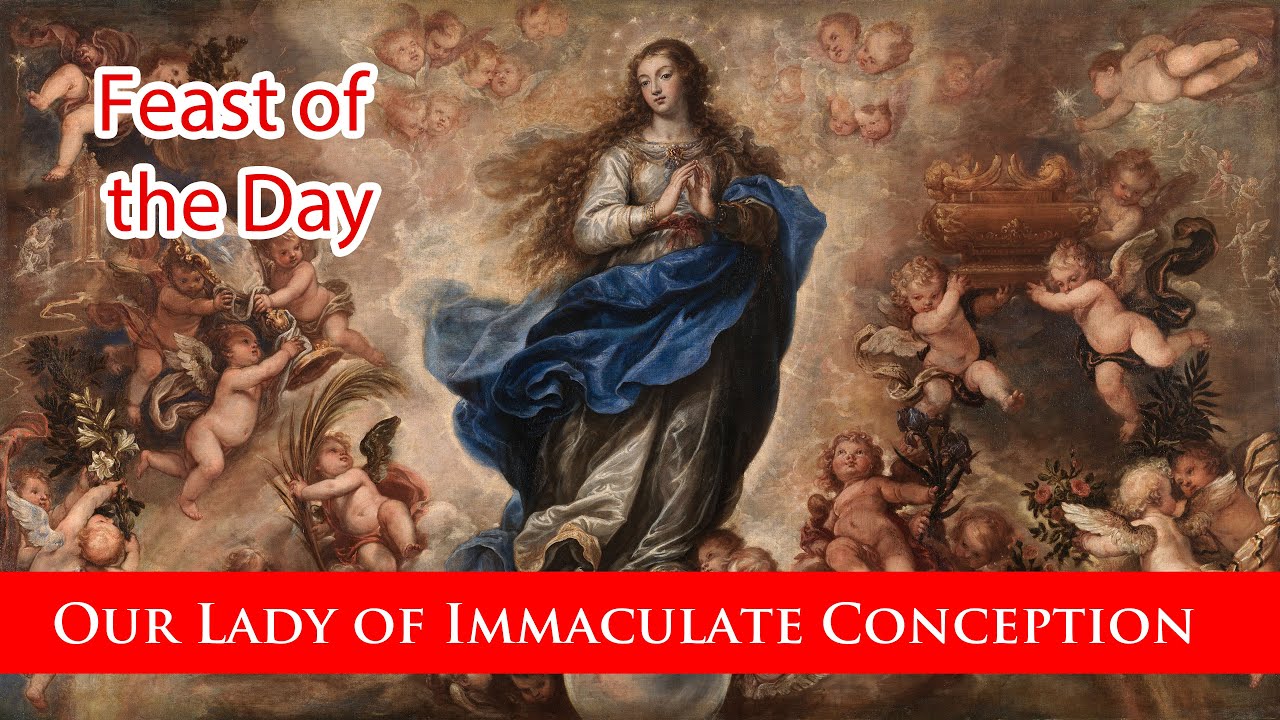 Our Lady Of The Immaculate Conception - Saint of the Day with Fr ...