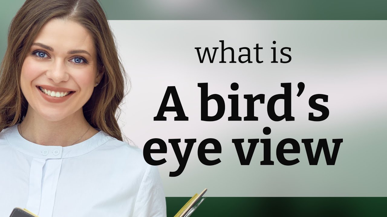 Understanding "A Bird’s Eye View": See the World from Above! - YouTube