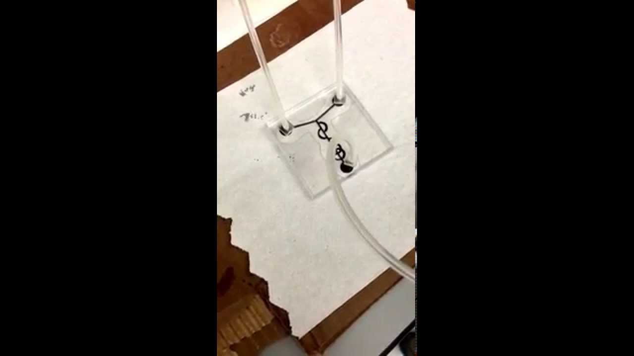 Microfluidic Channel Demonstration - YouTube