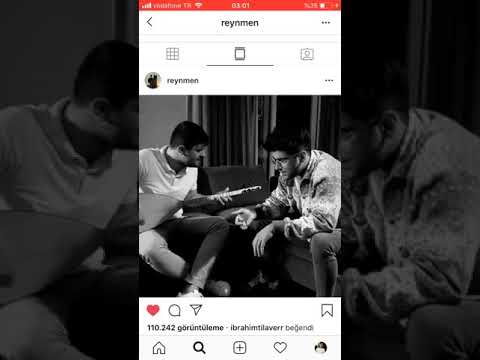 REYNMEN DAĞLARINA DARGINIM