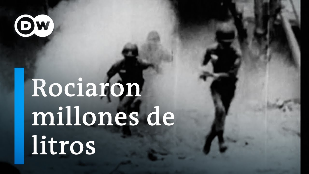 Fracasa batalla contra el "agente naranja" de Vietnam - YouTube