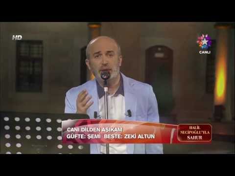 Halil Necipoğlu - Canı Dilden Aşıkam