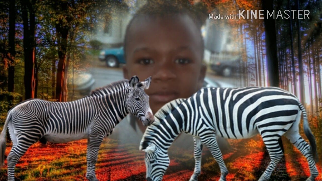 Abdiasis(23) - YouTube