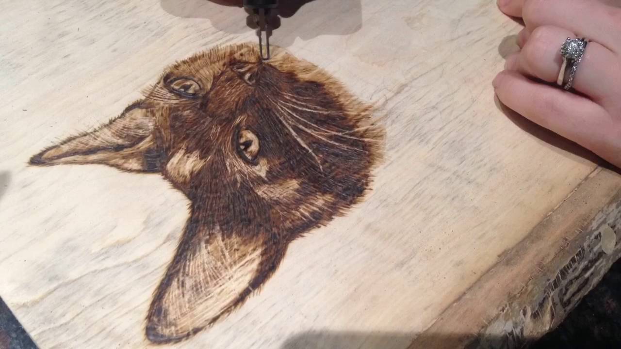 Pyrography of a Cat's Face - YouTube