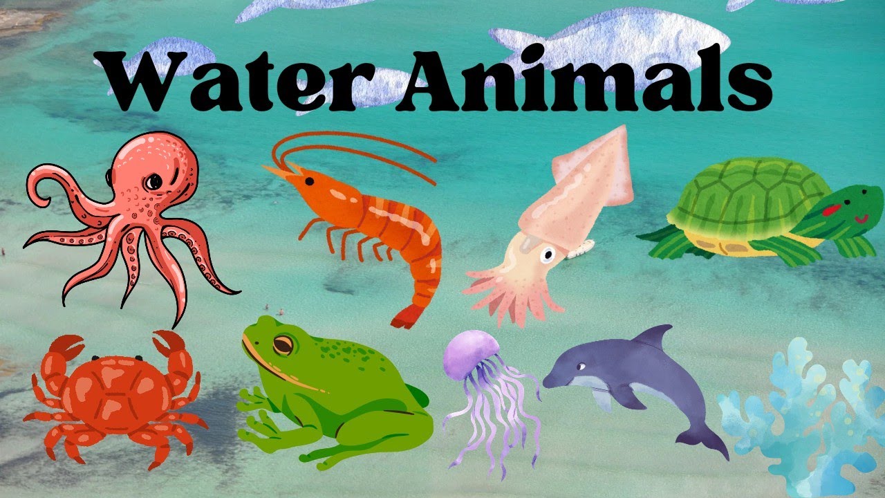 Water animals | Water animals with pictures | Water Animals in English ...