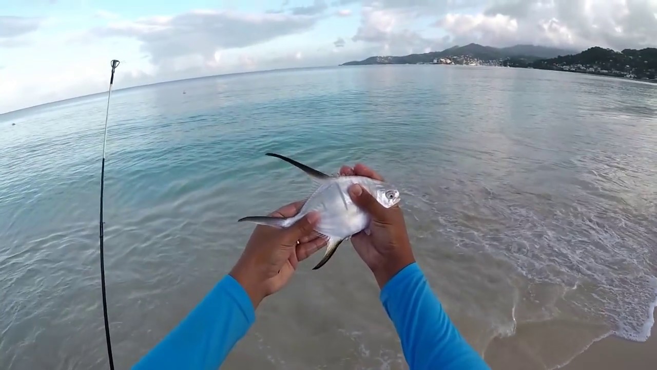 ENCOUNTER WITH A GIANT ON THE BEACH!!! Surf Fishing in GRENADA ...