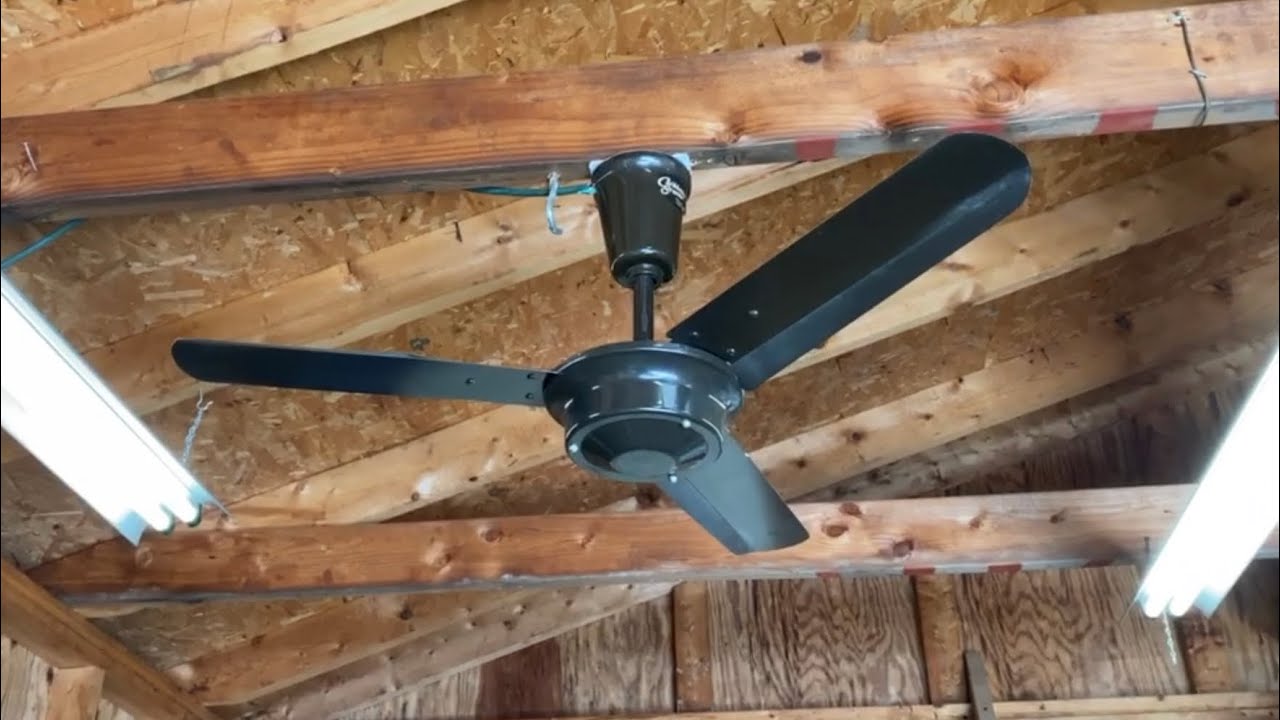 36” Moss Caribbean Breeze Ceiling Fan - YouTube