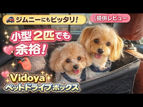 Vidoya  ペットドライブボックス‼️