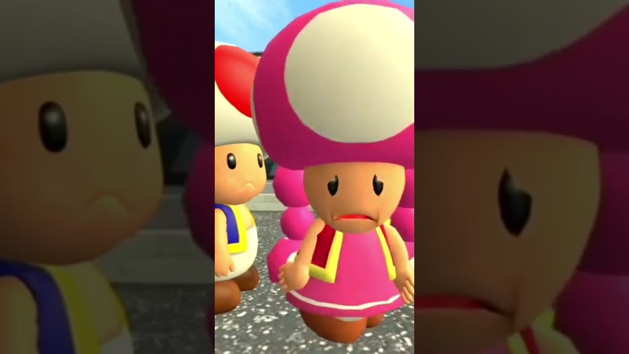 Toad And Toadette Relationship What Do You Think Luigi's Friendships