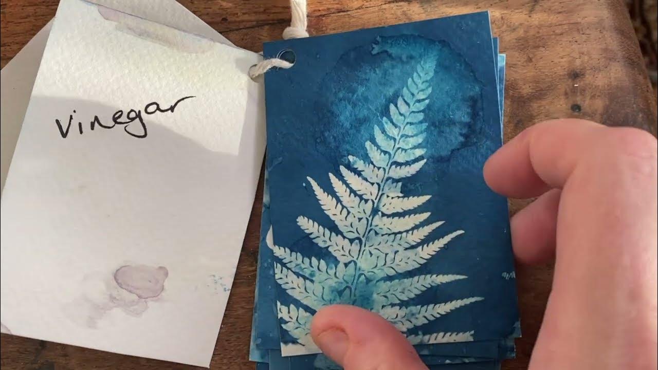 Cyanotype lesson 3: Ingredients for wet #cyanotype alternative ...