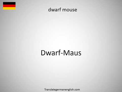 How to say dwarf monkey in German? - YouTube