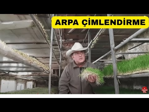 Köyde ŞAŞIRTAN Buluş - Hayvanlar İçin Mucize Sistem!