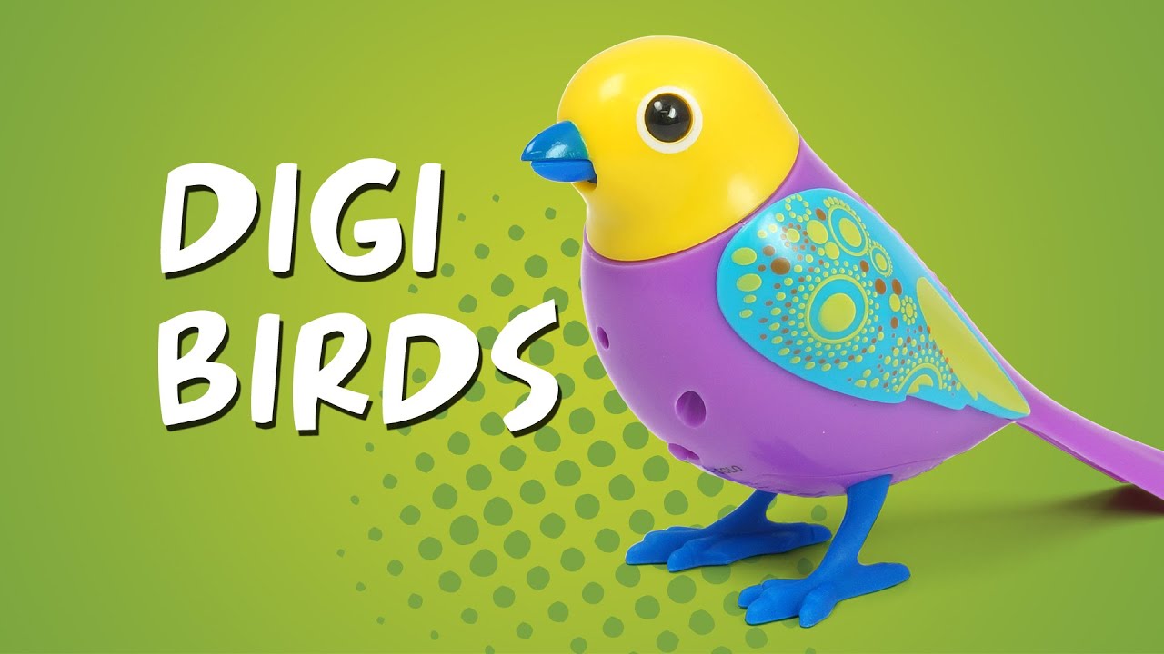 DigiBirds - YouTube