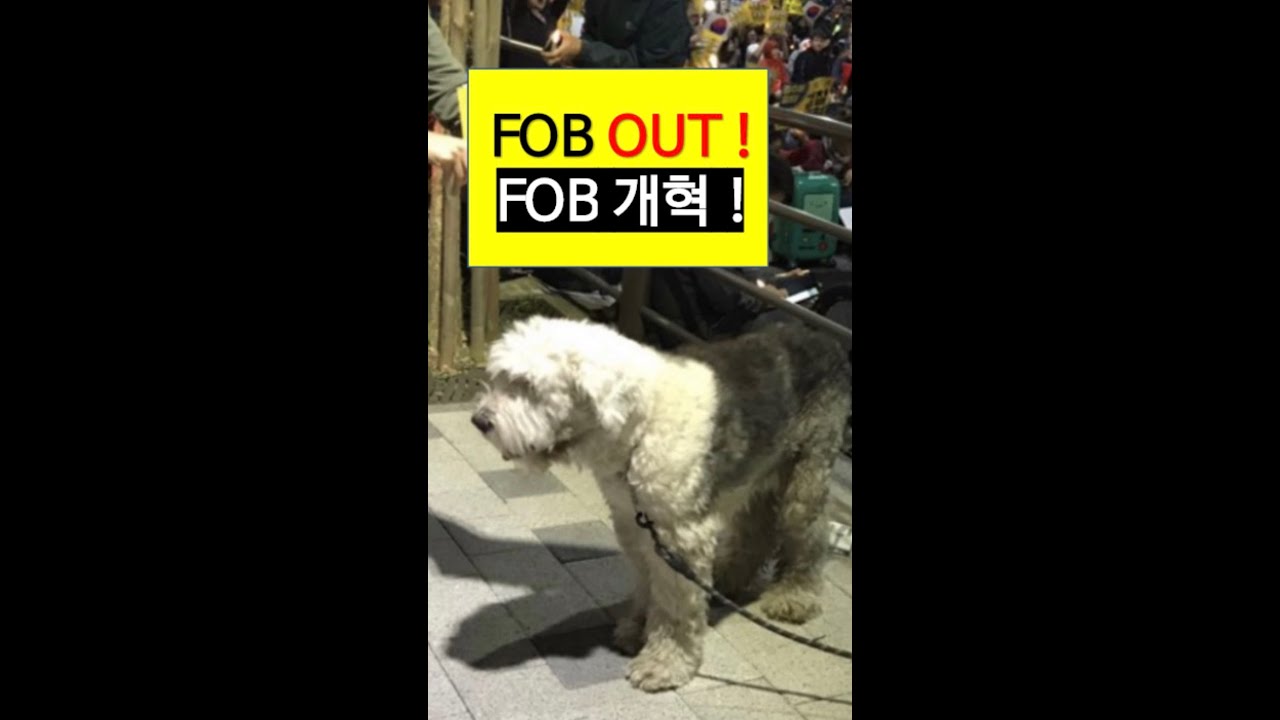 FOB 인코텀즈 2020 (2편 FOB OUT!) - YouTube