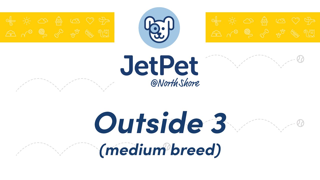 NS: Outside #3- January 25th, 2025 - YouTube