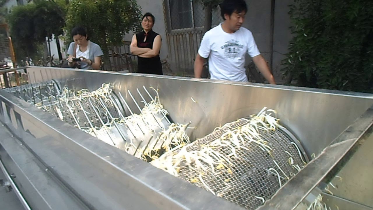 Bean sprouts washing machine - YouTube