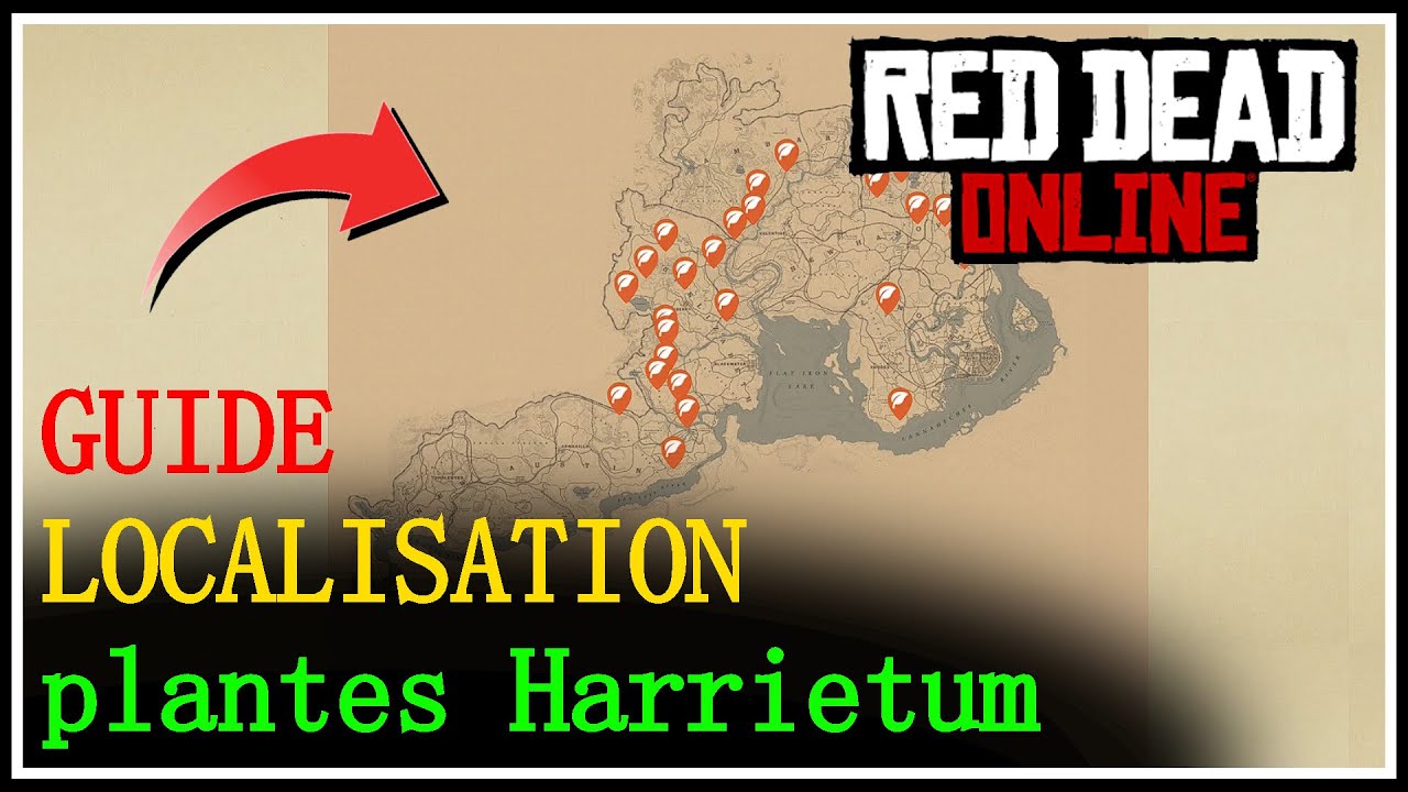 Guide Red Dead Online : Localisation plantes Harrietum (carte) - YouTube